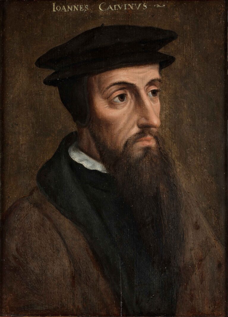 Reformation and Religious Division: Zwingli, Calvin, and the Birth of ...